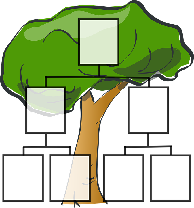 Tracing Your Family Tree How Much Do You Inherit In Florida Florida
