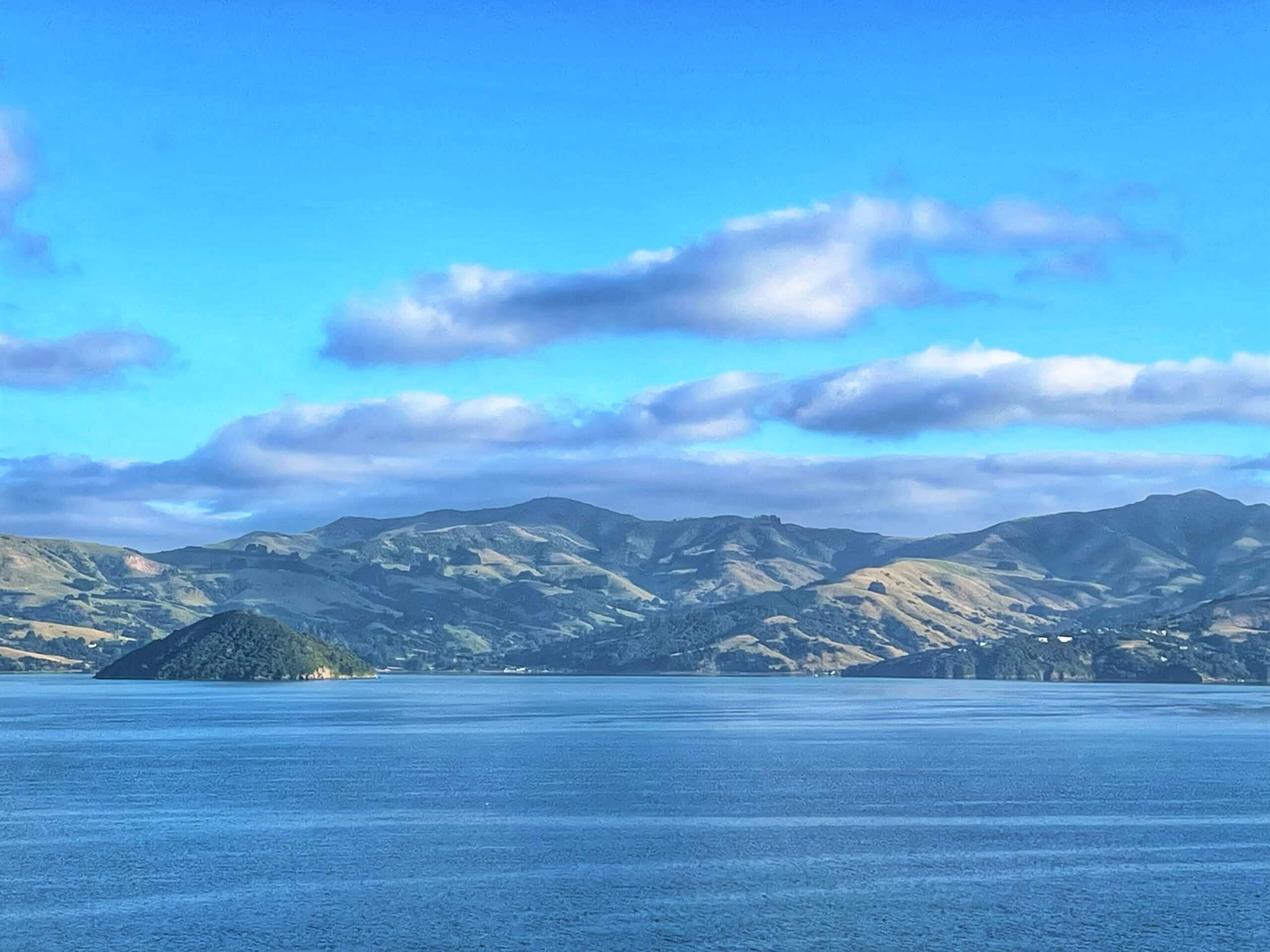 Florida Heirs -- who are you + how much do you inherit?